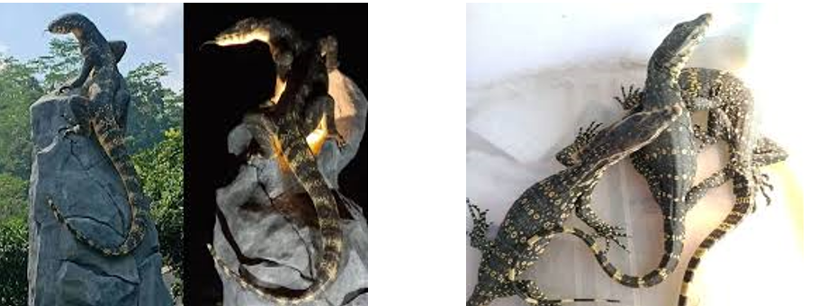 Biawak sebagai pengendali ekosistem - UNIVERSITAS INTERNASIONAL BATAM ID